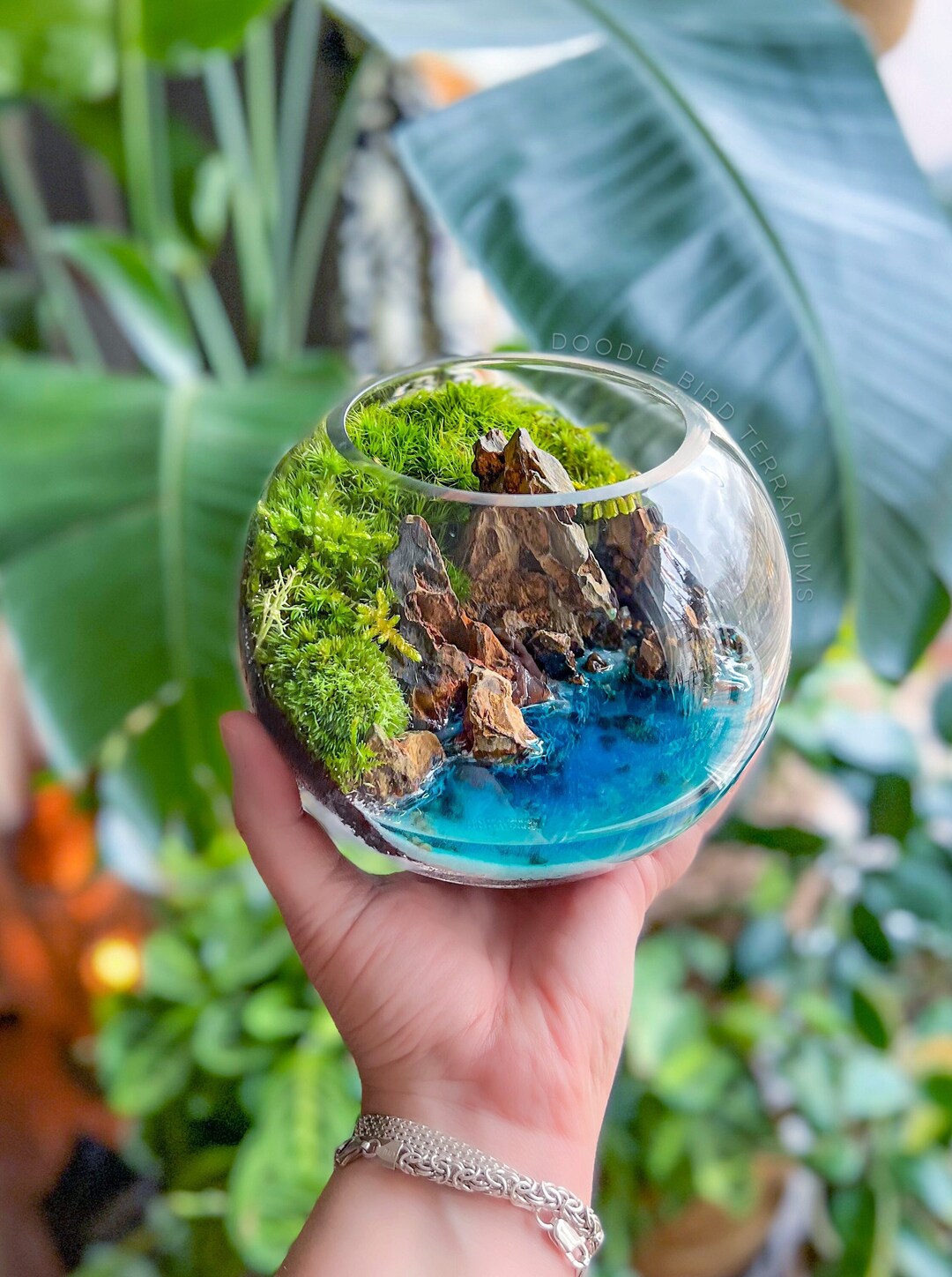 Mini Blue Lagoon Terrarium With Live Moss - Etsy
