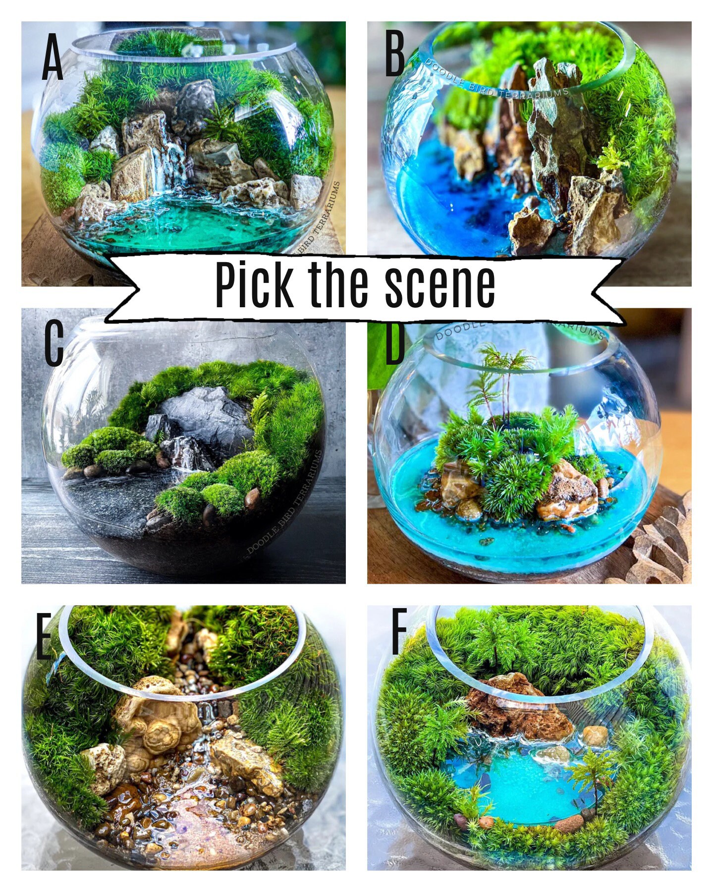 Palm Springs Terrarium Lamp Customizable Night Light