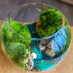 Turquoise Tropical Springs Terrarium With Live Moss in Mini Bubble Bowl ...