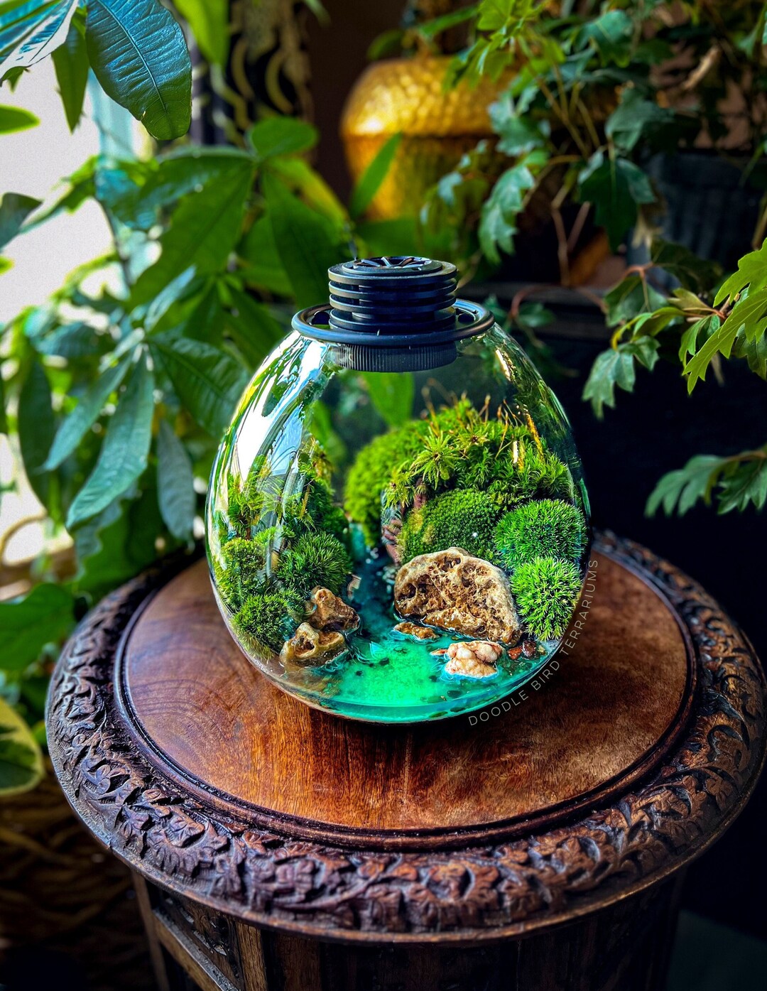 Gift-ready Ecosphere Table Lamp: Artisan Terrarium With Lush Moss ...
