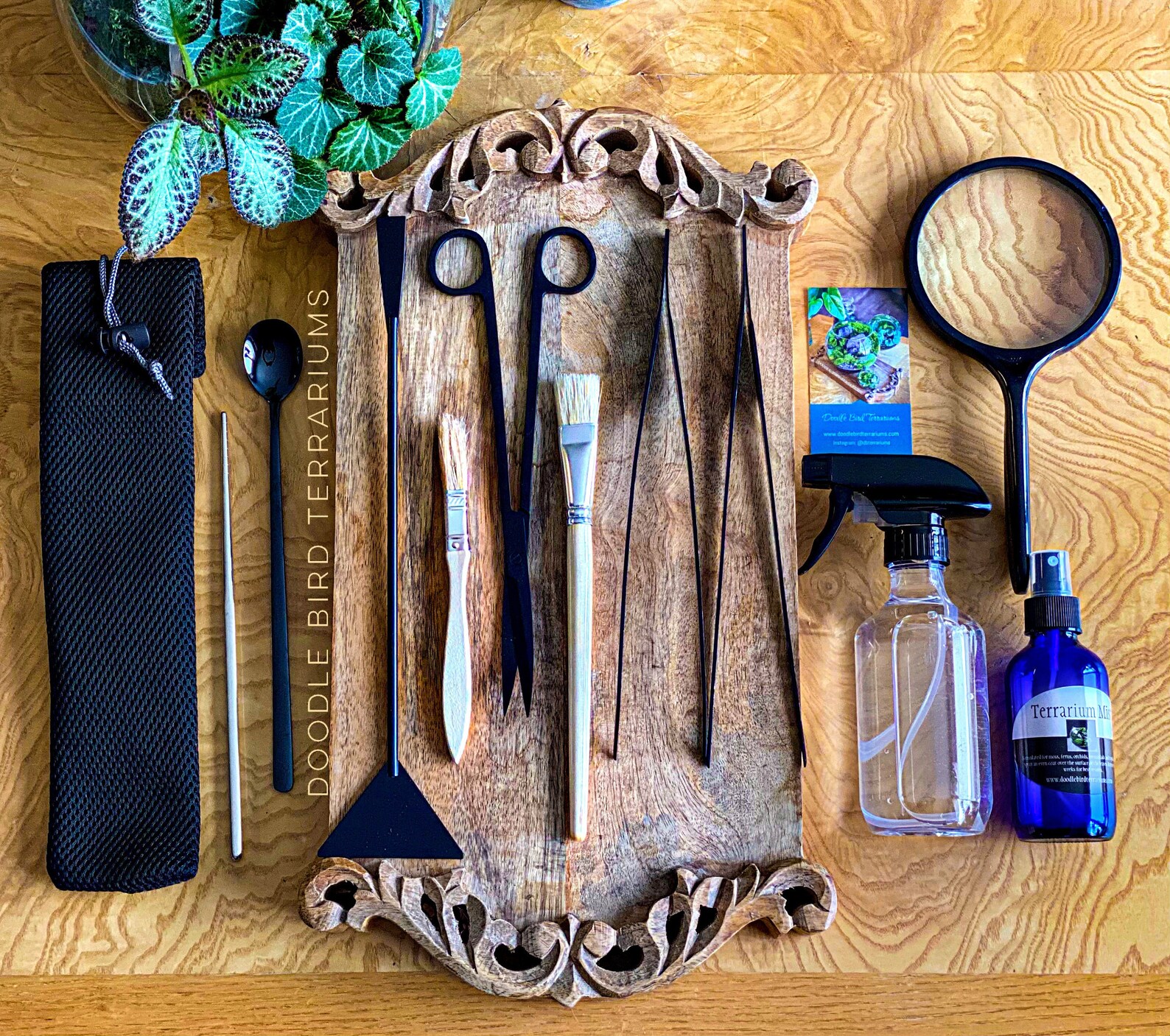 Professional Terrarium Tool Kit - 12 Piece Black Stainless Steel Set - Etsy