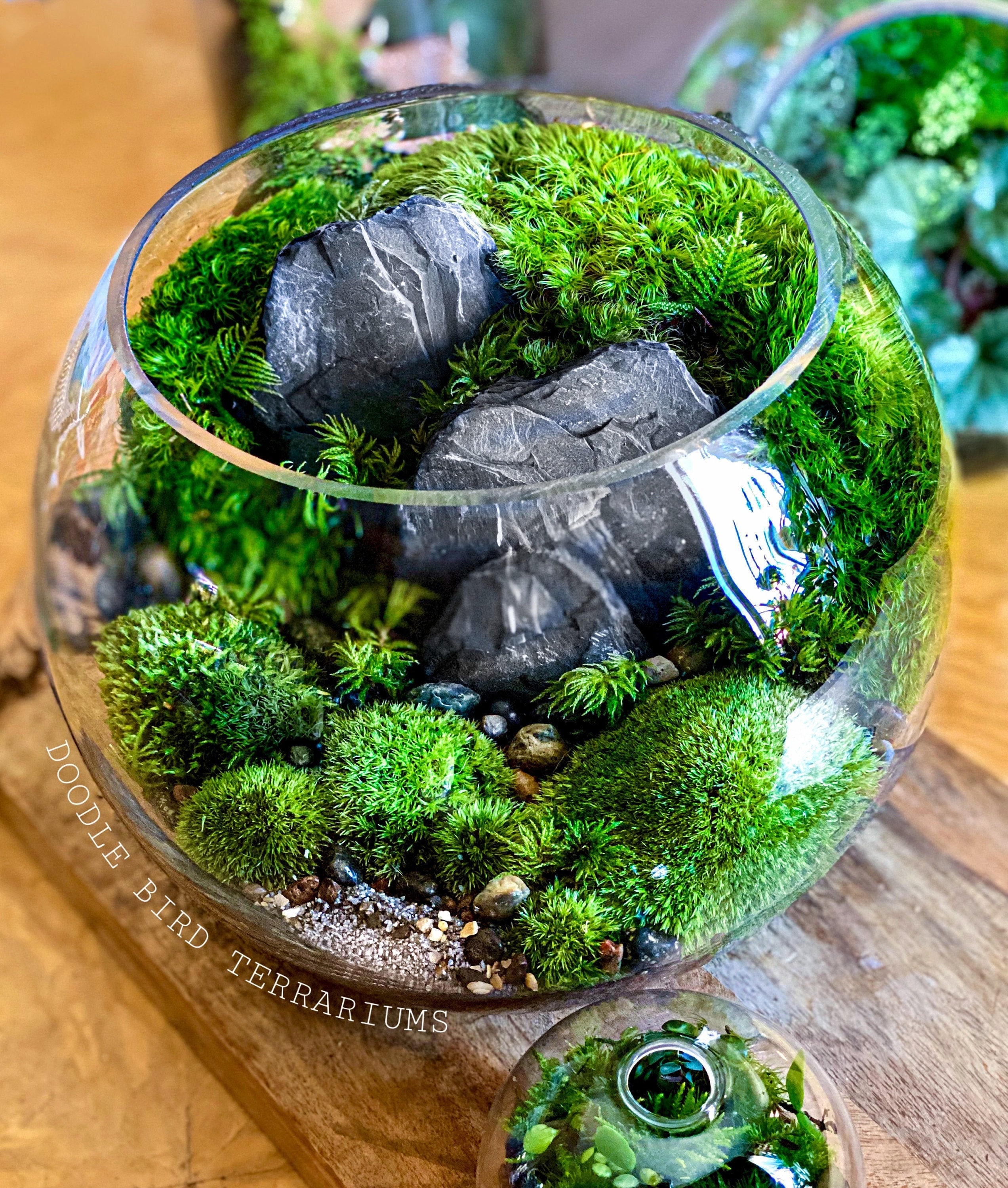 Organic Woodland Plant Terrarium with Mossy Green Landscape