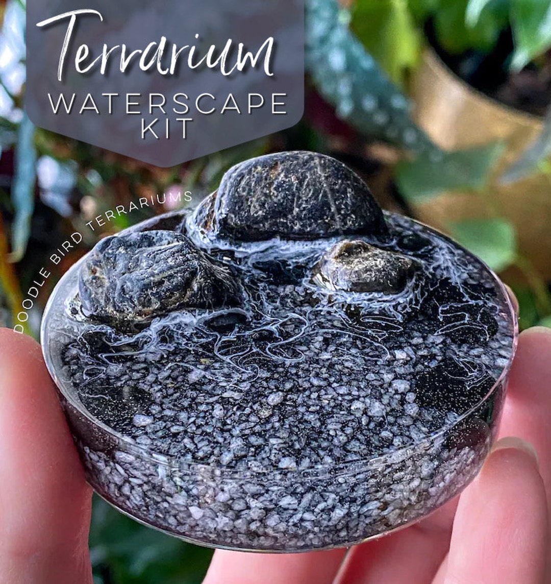 Lake Scene for Terrariums and Miniature Gardens Waterscape Kit - Etsy