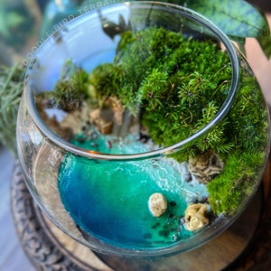 Coastal Terrarium With Sandy Beach in a Large Glass Vessel - Etsy