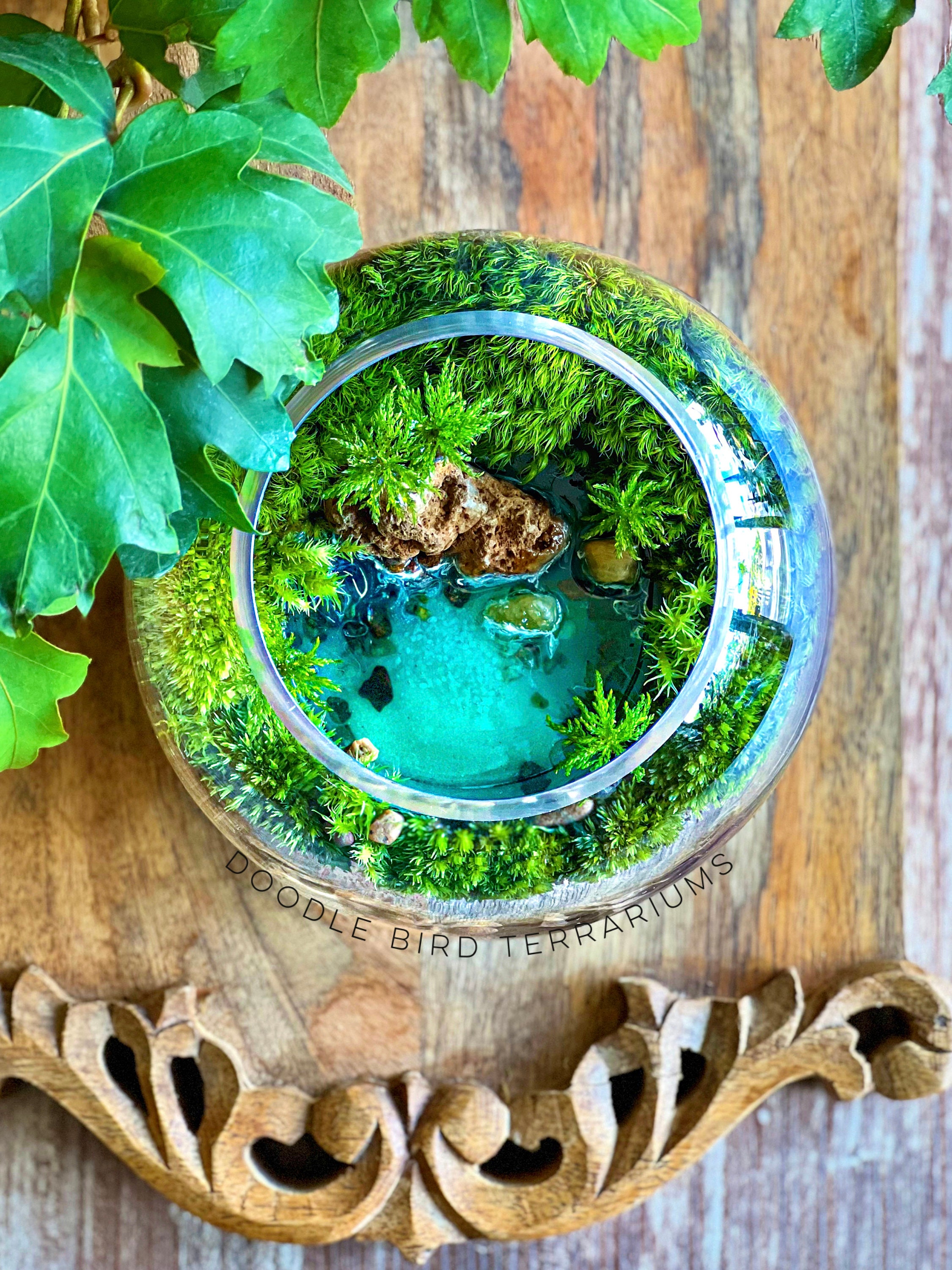 Ocean Oasis Terrarium with a Turquoise Pool of Tranquil Water XL