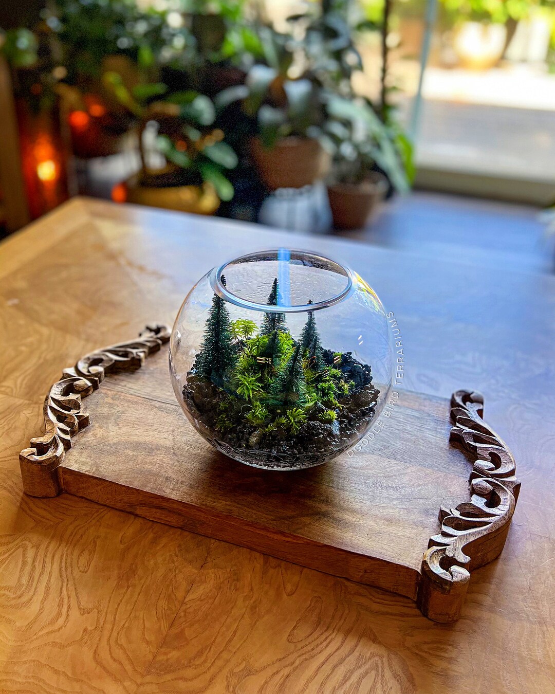 Pine Island Terrarium in Mini Glass Bowl - Etsy