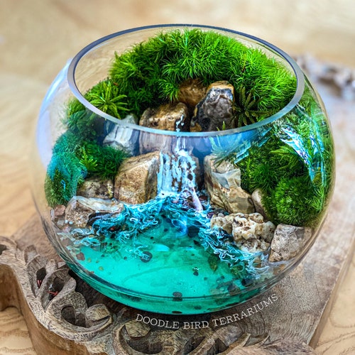 Pine Island Terrarium in Mini Glass Bowl - Etsy