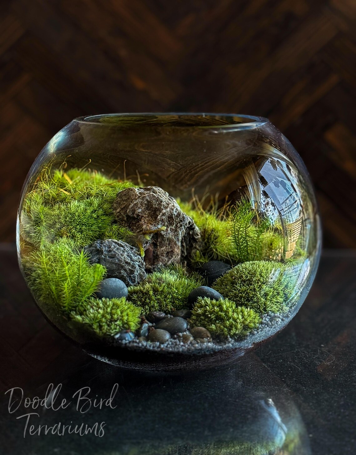 Moss Landscape Terrarium – Forest Garden in Decorative Glass Bowl for ...