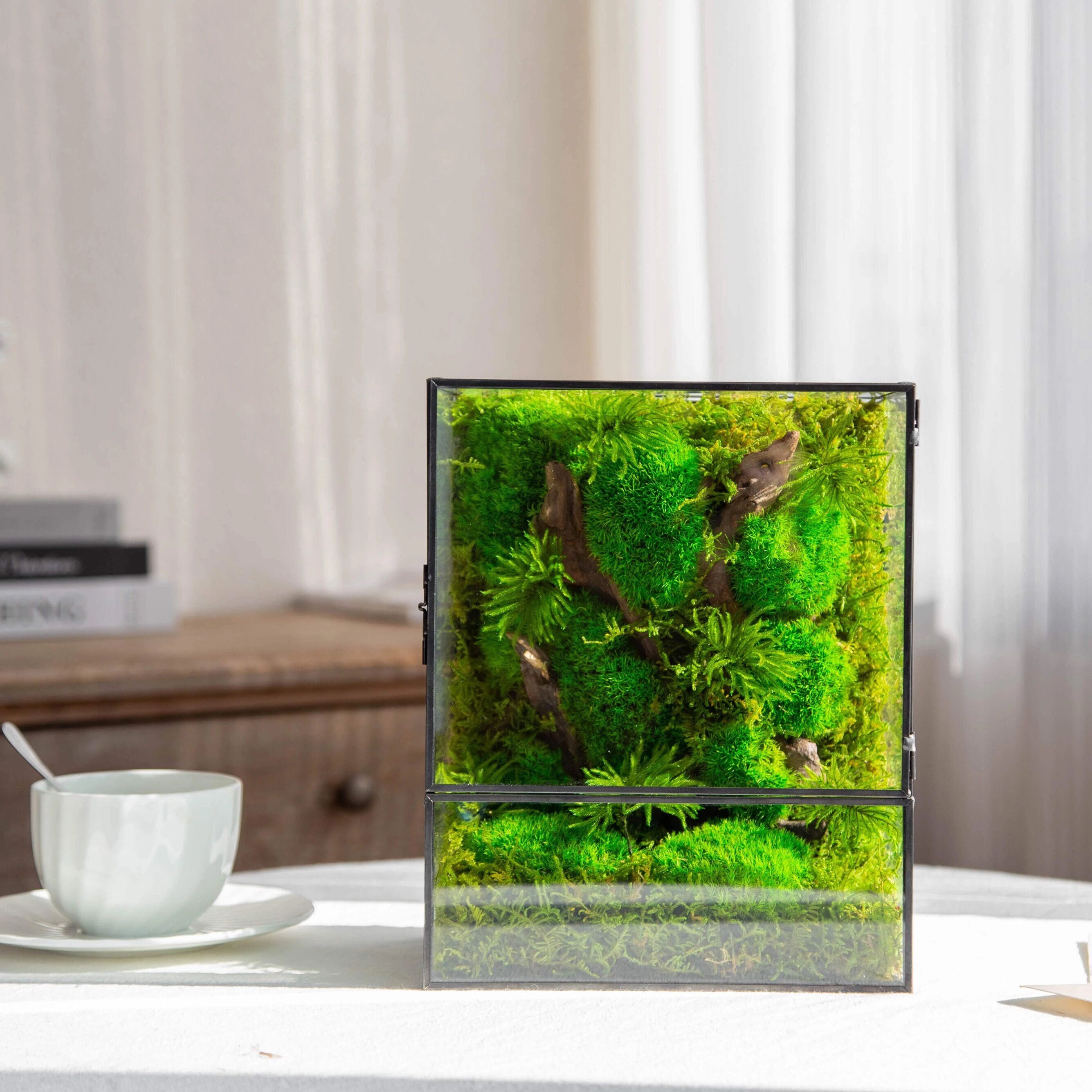 Moss Box Terrarium with Preserved Moss - No Care Required