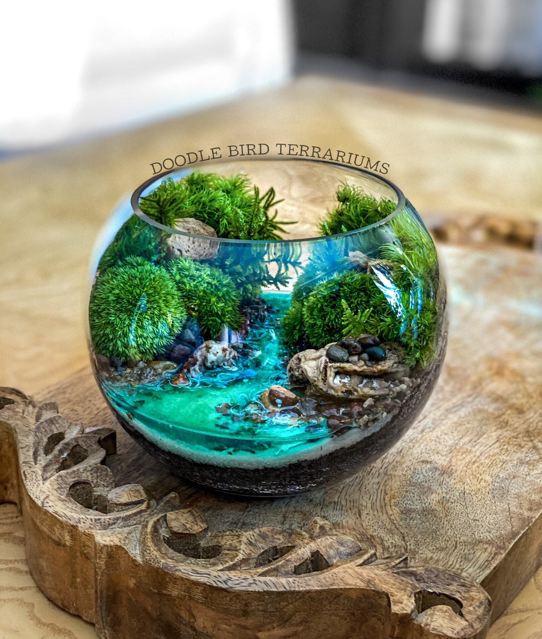 Turquoise Tropical Springs Terrarium With Live Moss in Mini Bubble Bowl ...