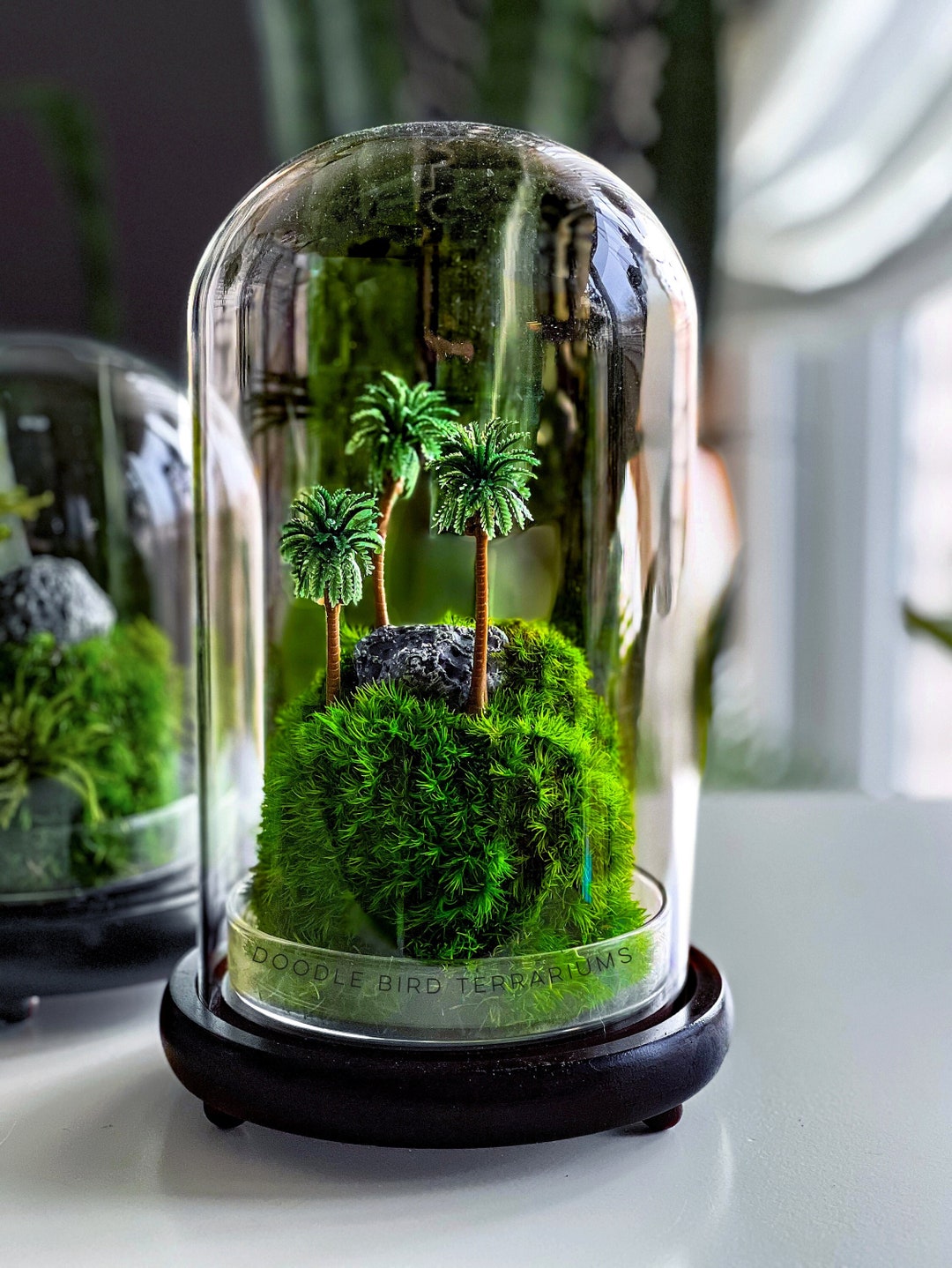 Handcrafted Miniature Palm Tree Terrarium tropical Oasis With Preserved ...