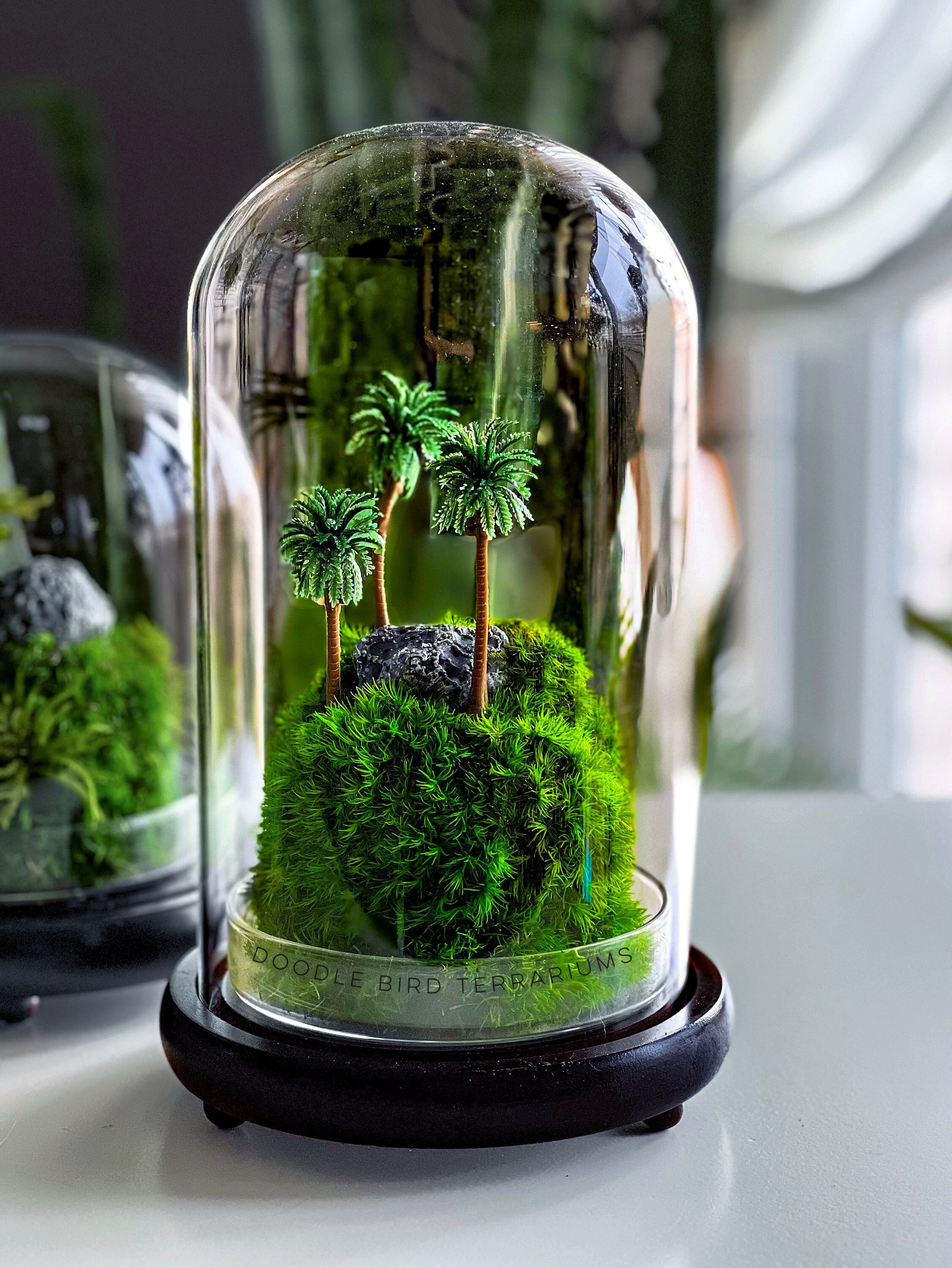 Handcrafted Miniature Palm Tree Terrarium - “Tropical Oasis” with ...