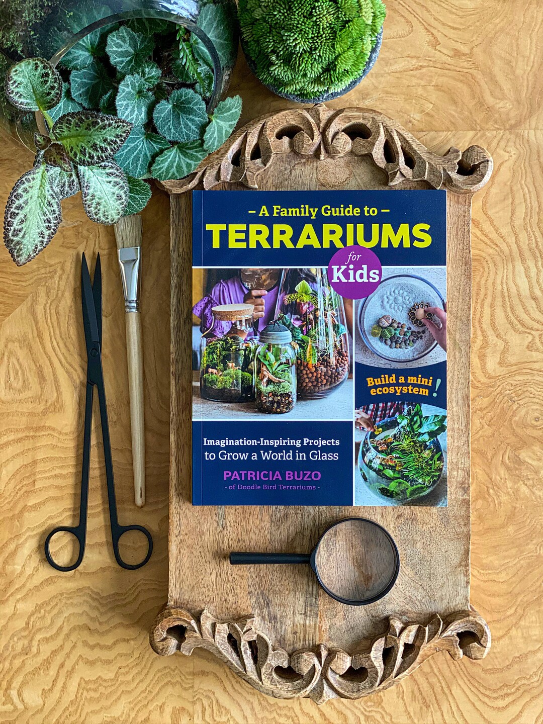 Signed Copy - A Family Guide to Terrariums: Easy DIY Terrarium Projects ...