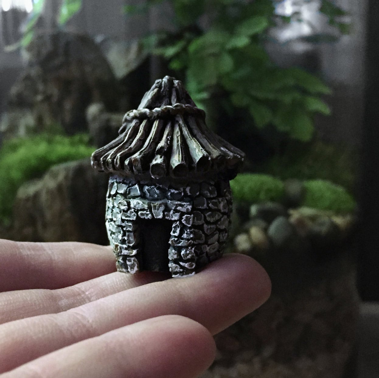 Miniature Cottage House for Terrariums and Fairy Gardens