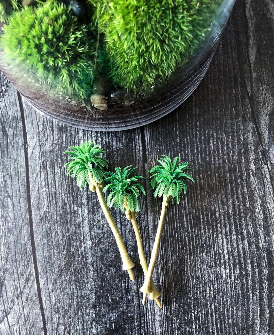 Terrarium Miniatures: Set of 3 Palm Trees - Etsy