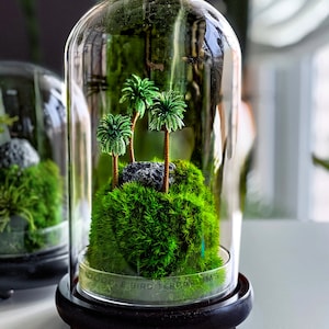 Terrarium Garden Miniatures: Teeny Tiny Palm Trees - Etsy