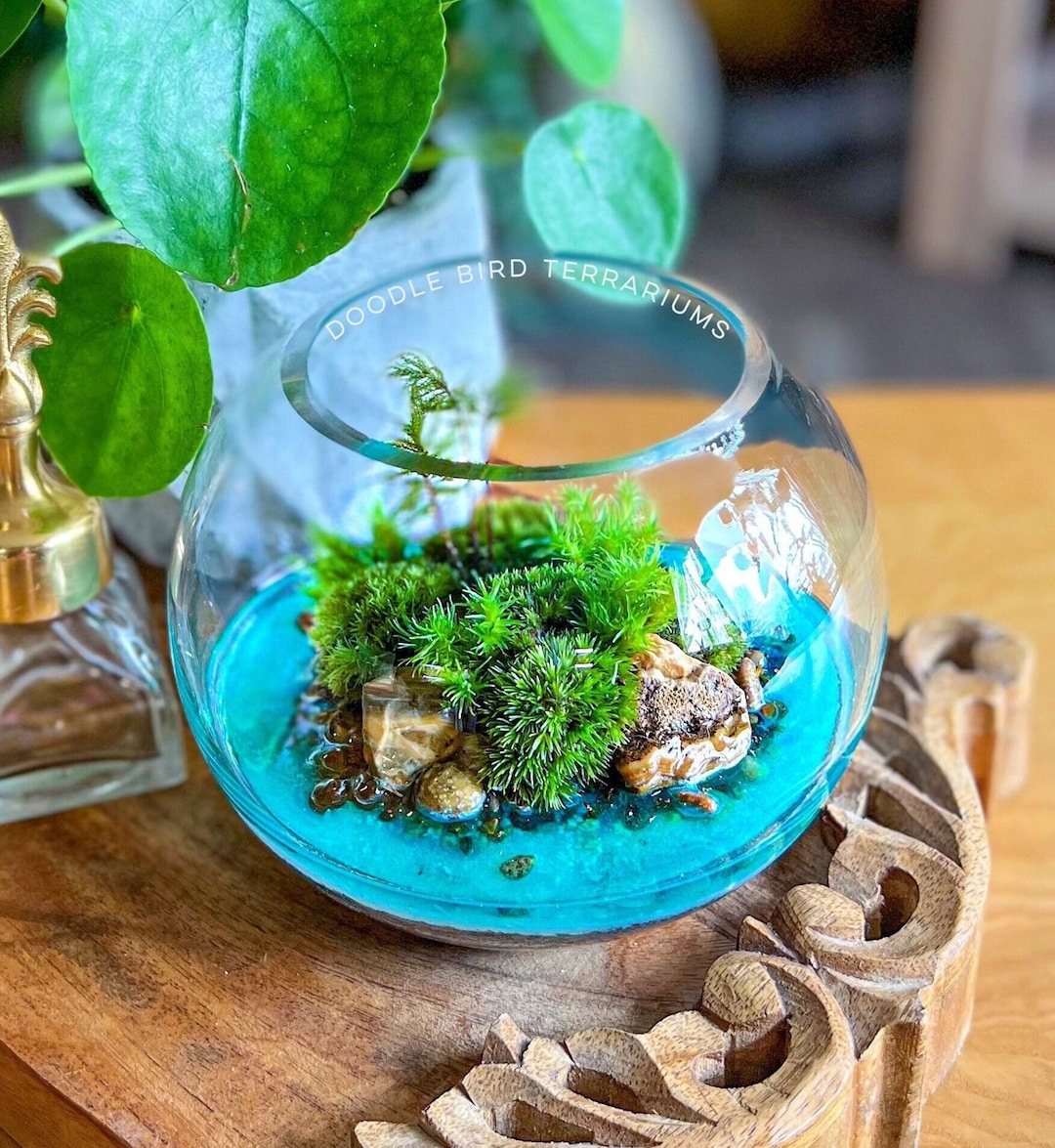 Tropical Getaway Terrarium Deserted Island With Crystal Blue Waterscape ...
