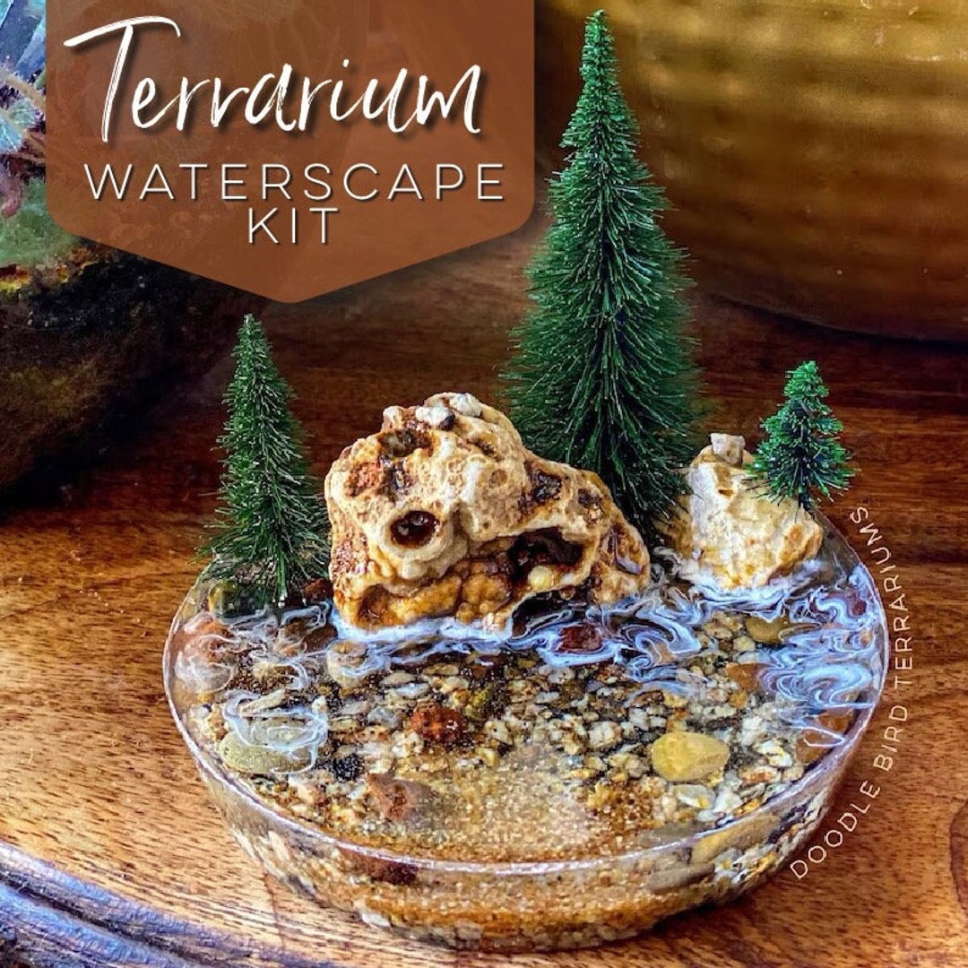 Pine Pond Terrarium Waterscape Insert Kit - Etsy