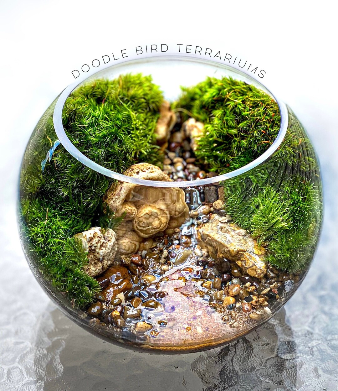 Rock Creek Terrarium With Earthy Brown Stones and Pond - Low ...