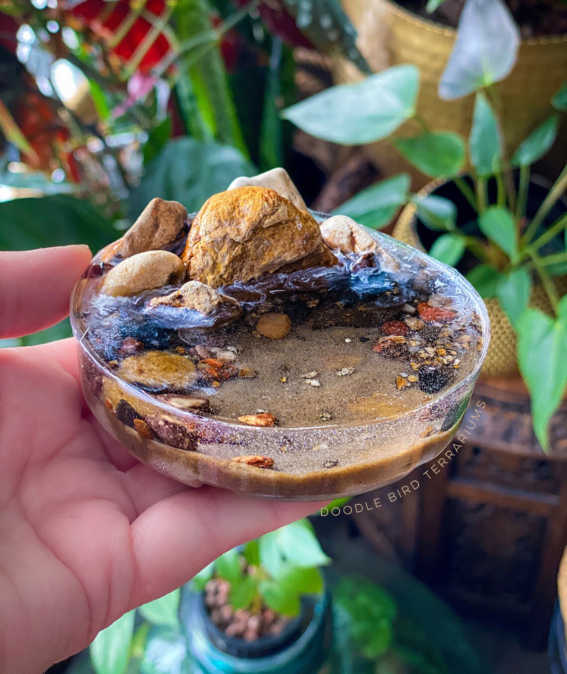 Pond Waterscape Kit for Terrarium Gardens - Etsy