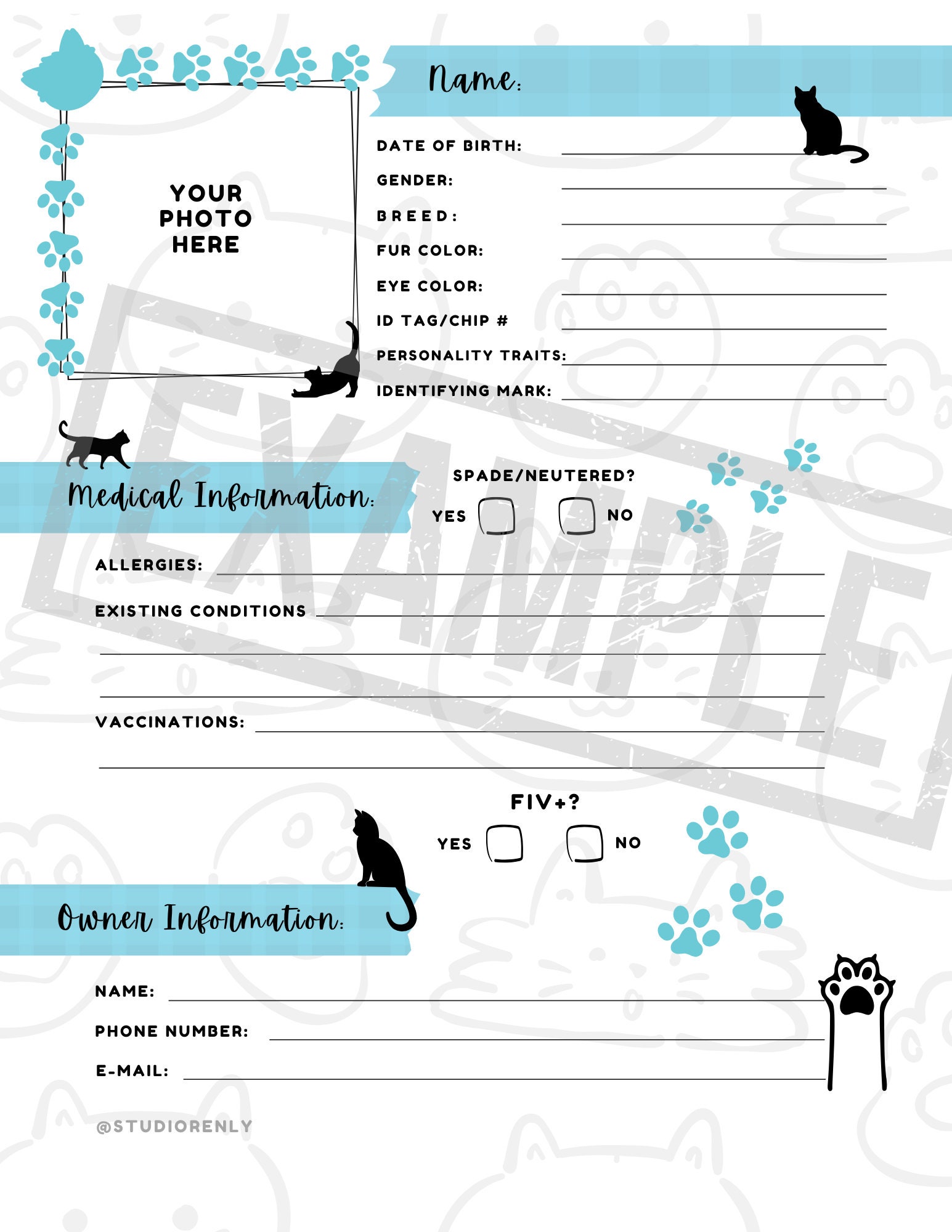 Cat Care Pet Tracker Planner Printable Downloadable Inserts 8 Pages - Etsy