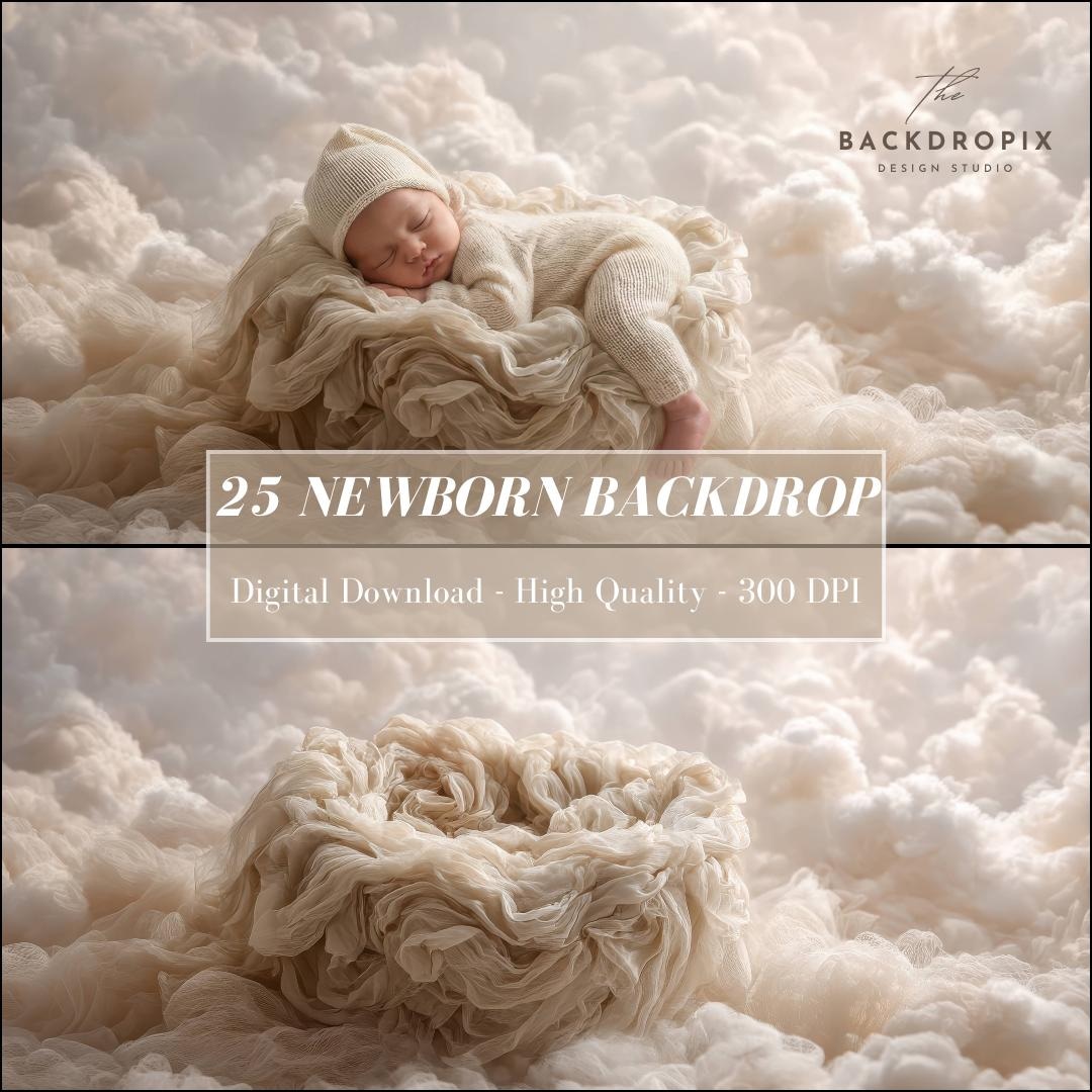 Butterfly Wing Newborn Digital Backdrops, Floral Cloud Nest & Hanging ...