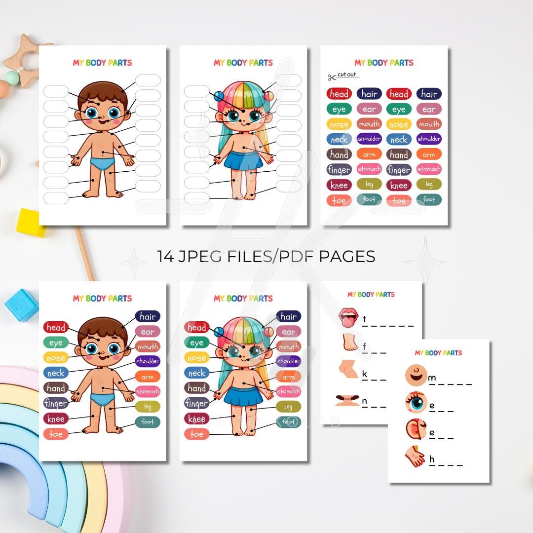 Body Parts Busy Book | Printable Montessori Material & Worksheets for ...