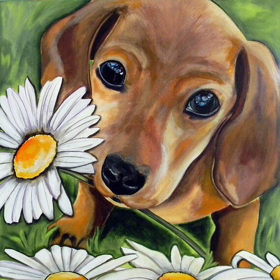 Daisy Eyes - Etsy