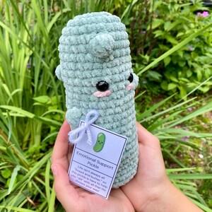 NO SEW Crochet Emotional Support Pickle Pattern W/ Tag - Etsy