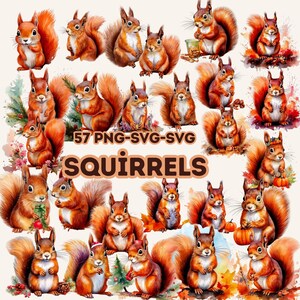 57 Funny Quirky Squirrel Clipart Surprised Squirrel Watercolor ...