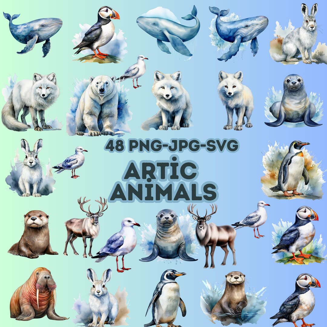 48 Arctic Animals Watercolor Clipart, Winter Animals PNG, Polar Animal ...