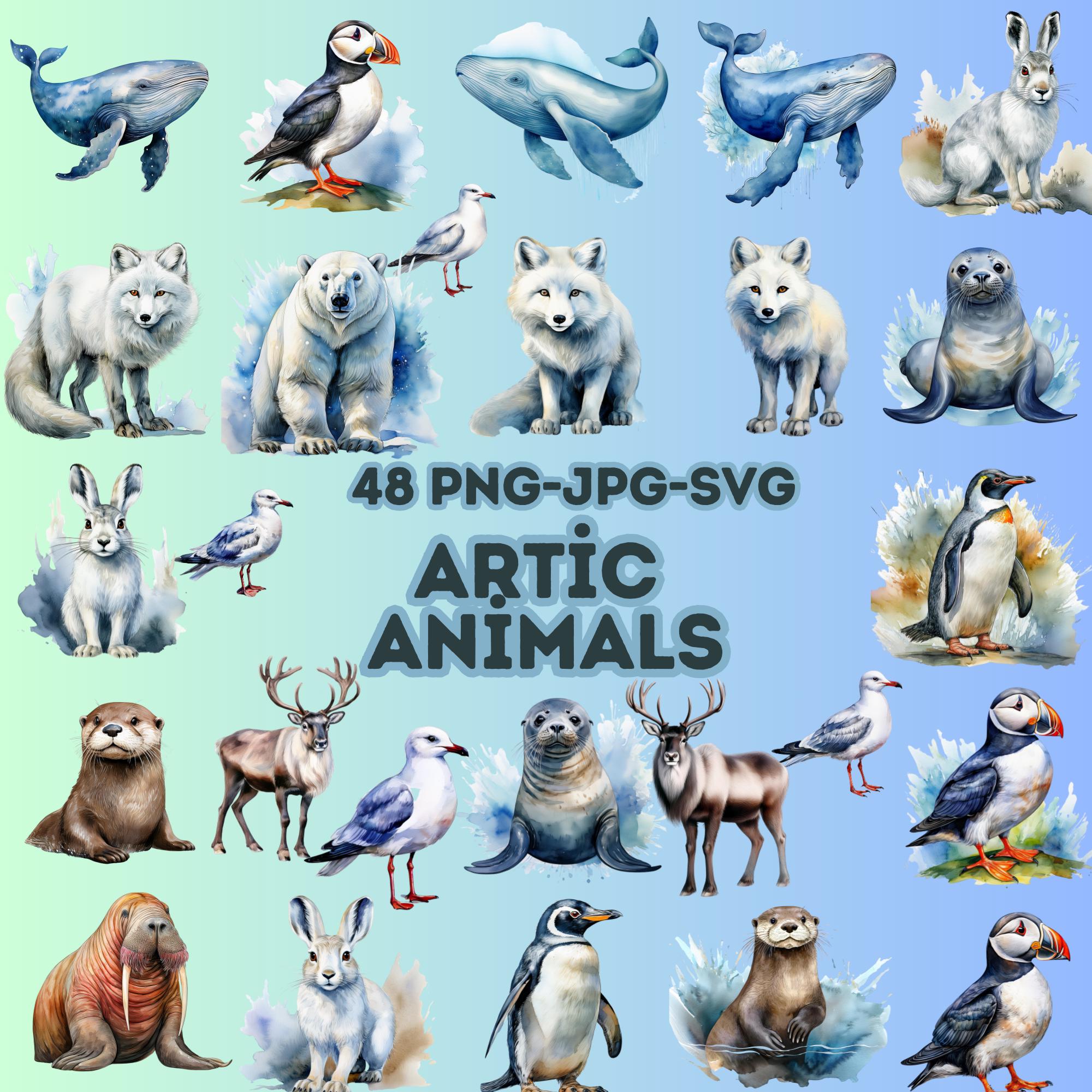 48 Arctic Animals Watercolor Clipart, Winter Animals PNG, Polar Animal ...