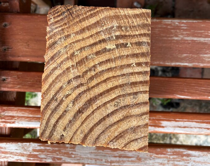 Fat Wood Lighter 4 Lb Chunk of Lightning Struck Southern Slash Pine ...