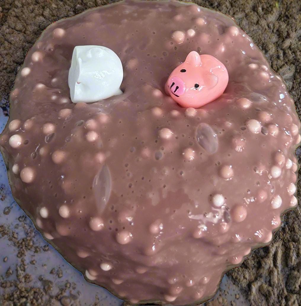 Mud Bath/foam Slime/ Scented Chocolate/ Pig Charms/ Crunchy Slime ...