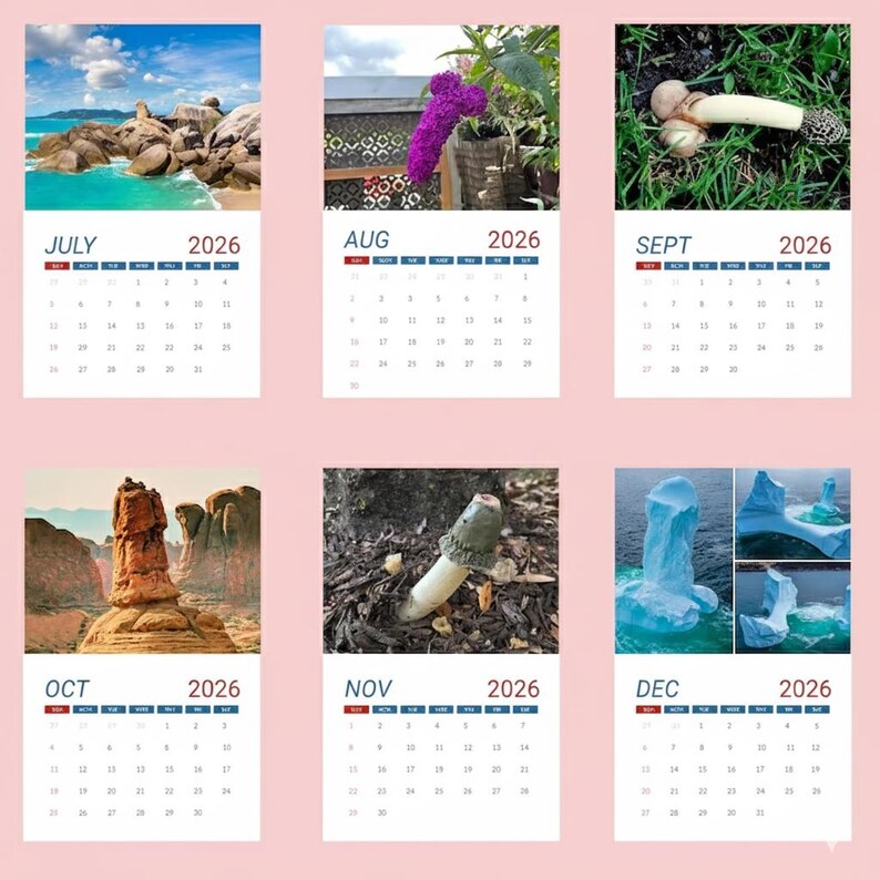 Natural 2026 Calendar, Adult Humor Wall Calendar, Funny Cheeky Mature ...
