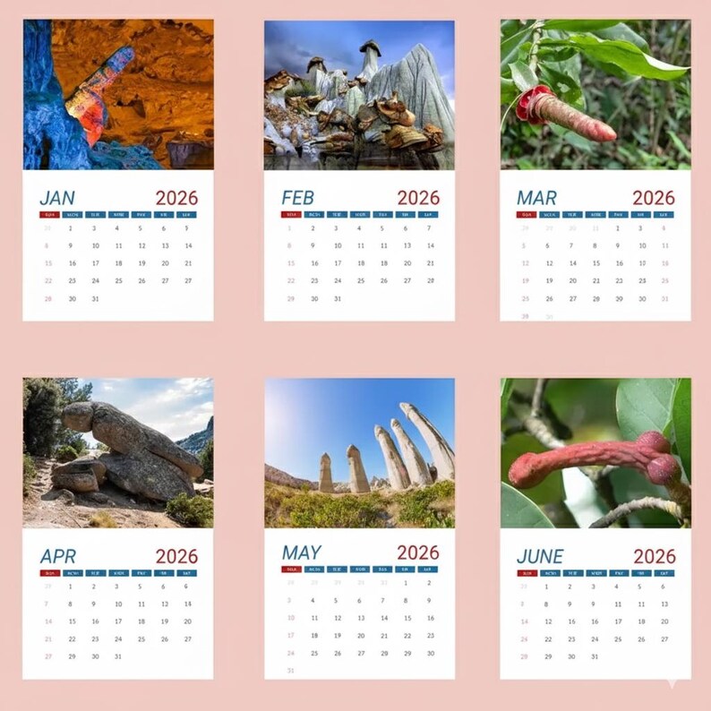 Natural 2026 Calendar, Adult Humor Wall Calendar, Funny Cheeky Mature ...
