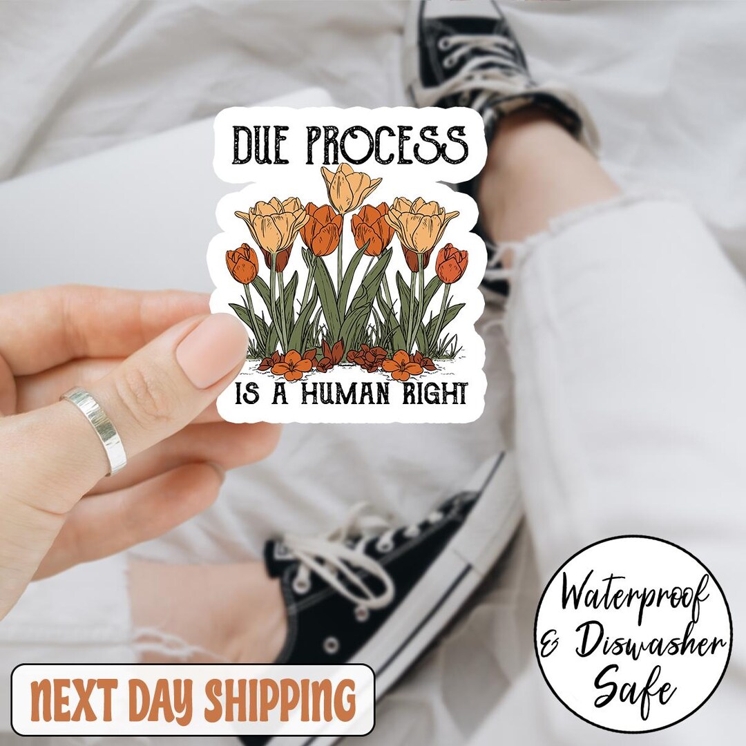 Due Process is a Human Right Anti Trump Sticker/car Magnet, Anti ...