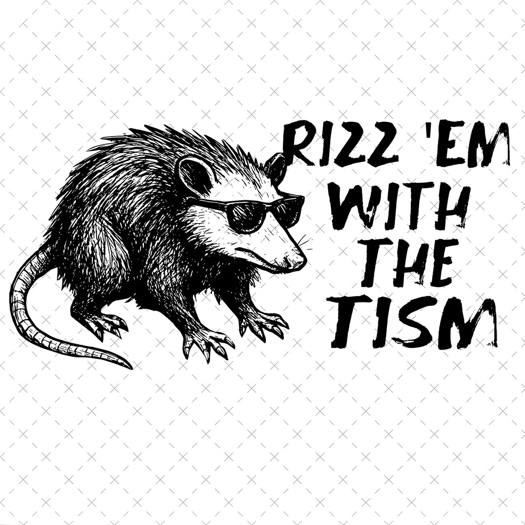 Rizz 'em With the 'tism PNG, Funny Raccoon Meme, Funny Trash Panda ...