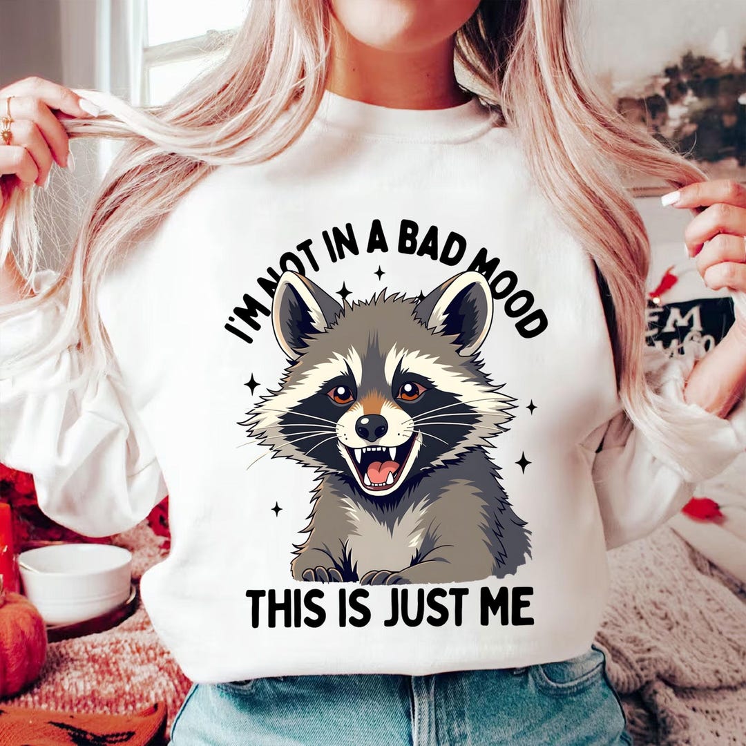 I'm Not in A Bad Mood This is Just Me Raccoon Png Download, Funny ...
