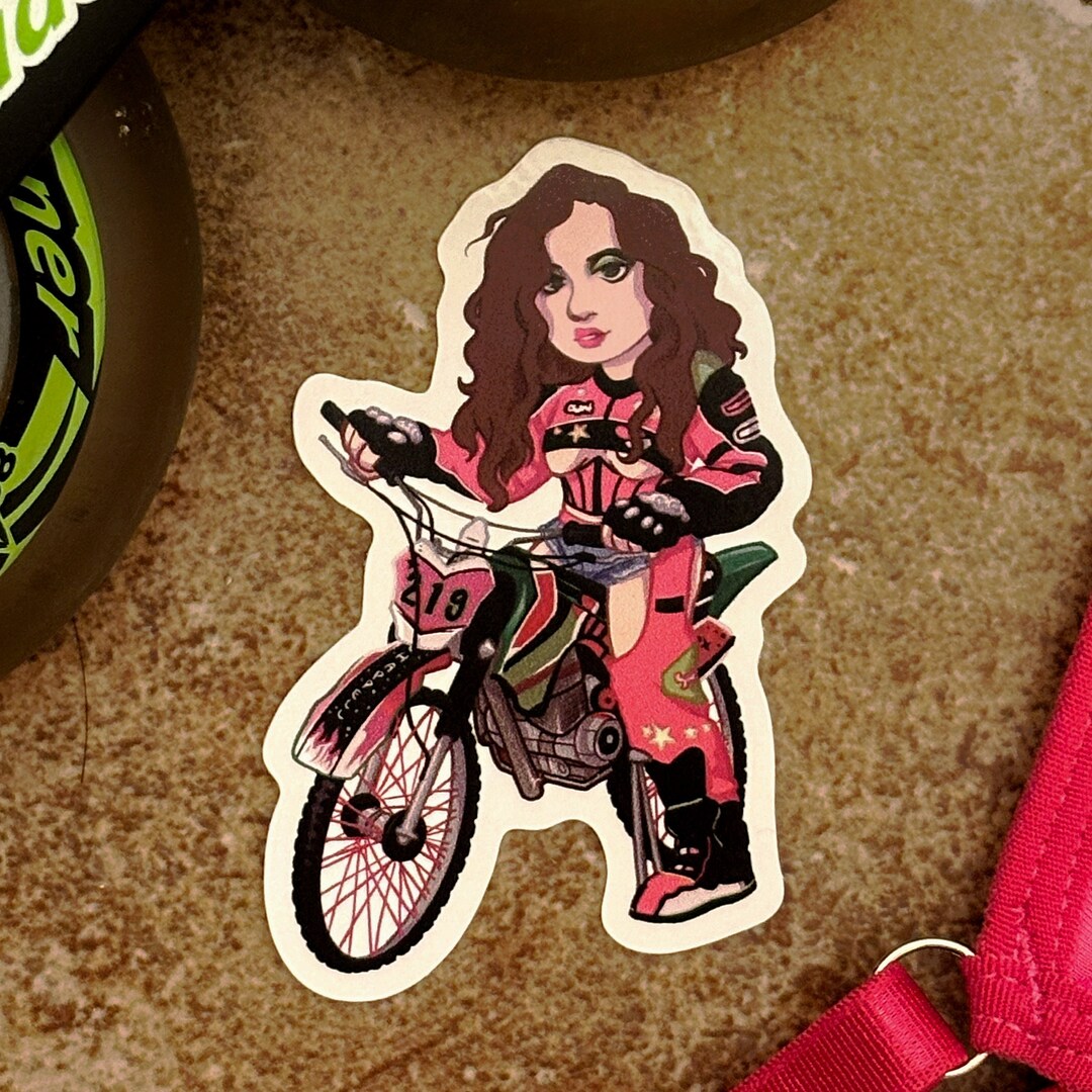 Femininomenon Chappell Roan Illustrated Vinyl Sticker | Waterproof ...