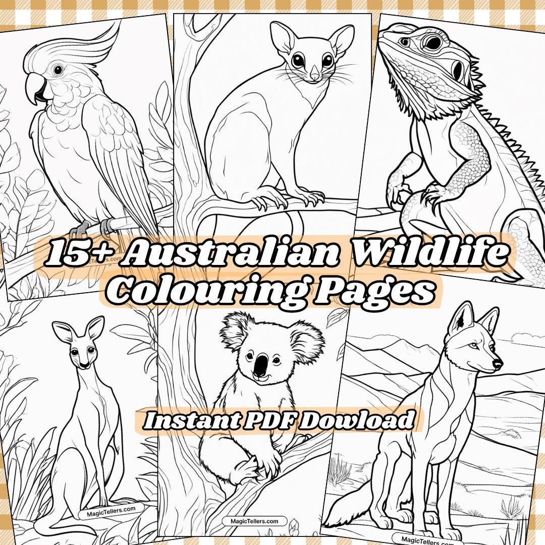15+ Australian Wildlife Colouring Pages - Printable and Instant ...