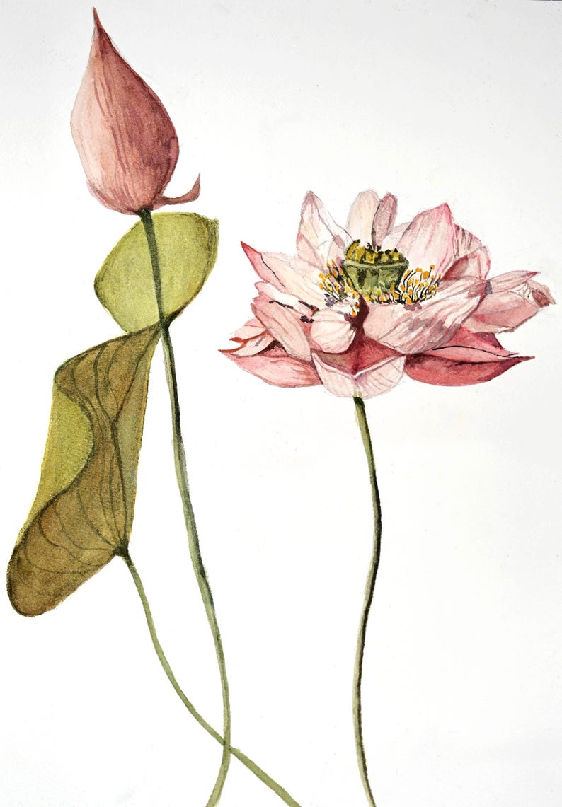 Pink Lily 5x7 Blank Watercolor Notecard - Etsy