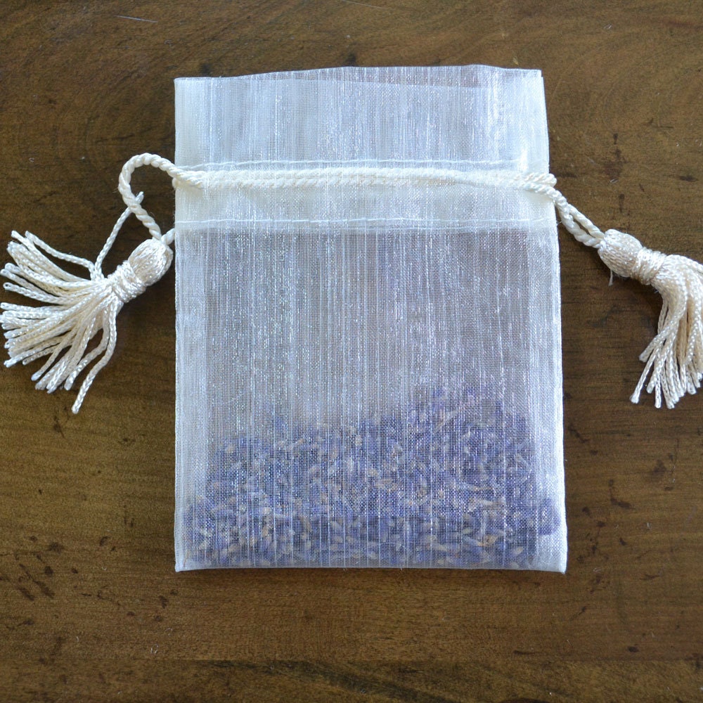 Bird Message Scroll With Gift Bag, Blank for Personalization - Etsy