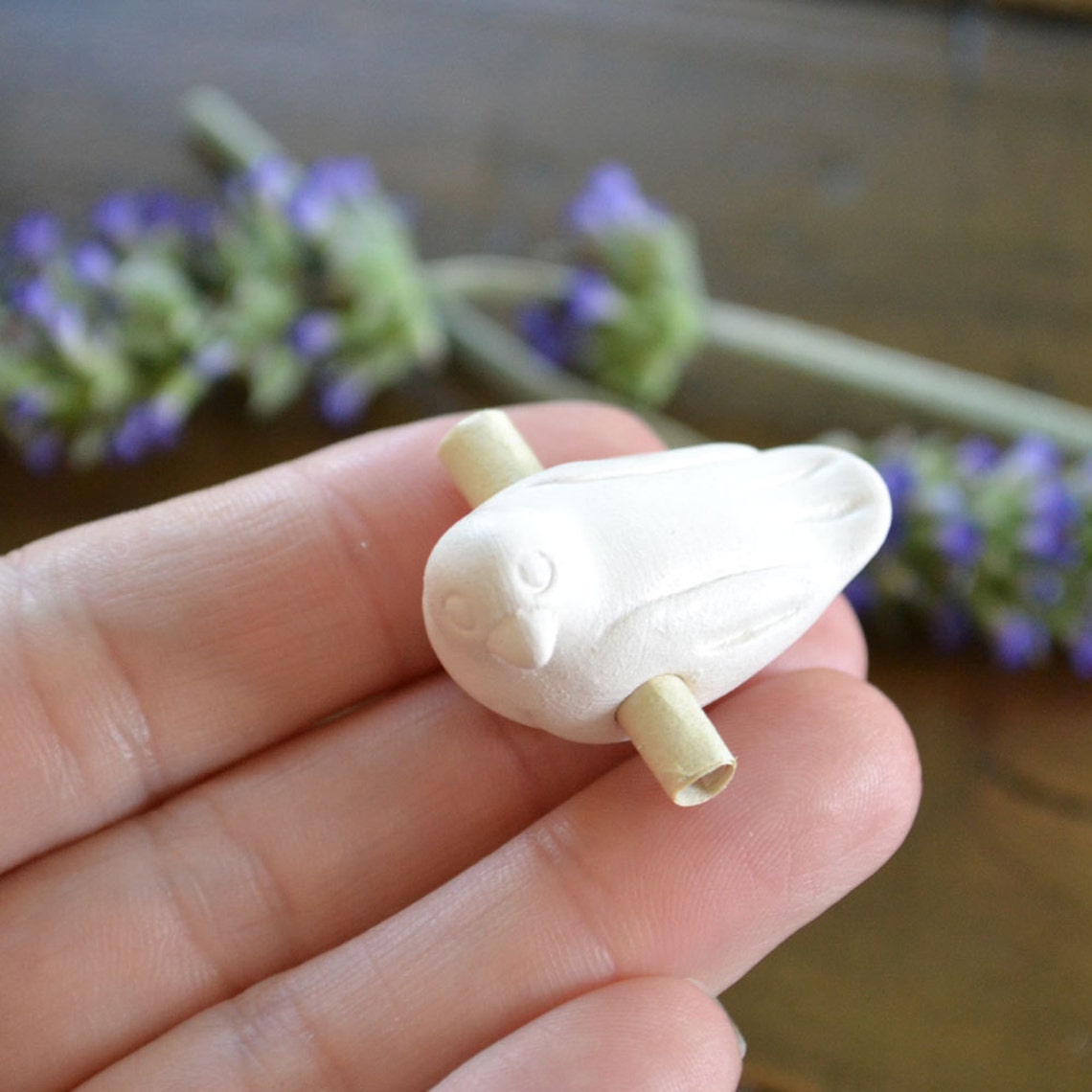 Bird Message Scroll With Gift Bag, Blank for Personalization - Etsy