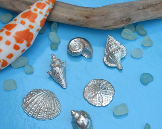 Set of Six Small Pewter Seashell Tokens - Etsy