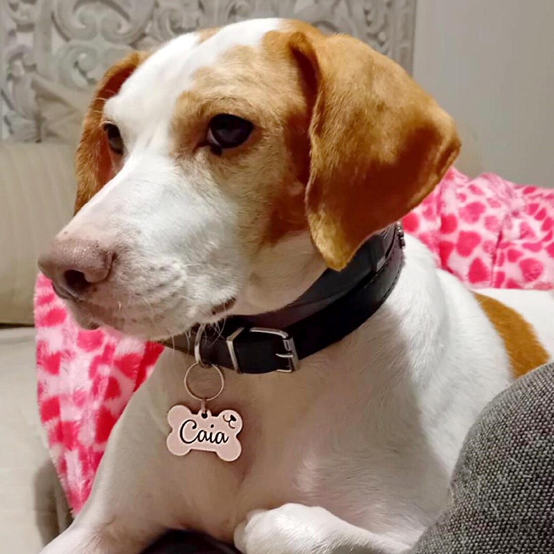 Custom Engraved Dog Tag Personalized Pet ID Tag for Dogs Holiday Gift ...