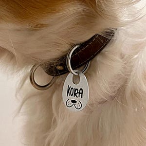 Personalized Pet ID Tag Custom Dog Tag Pet Identification Tag Pet Owner ...