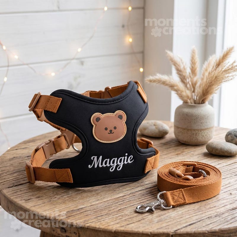 Voyager Leash - Etsy