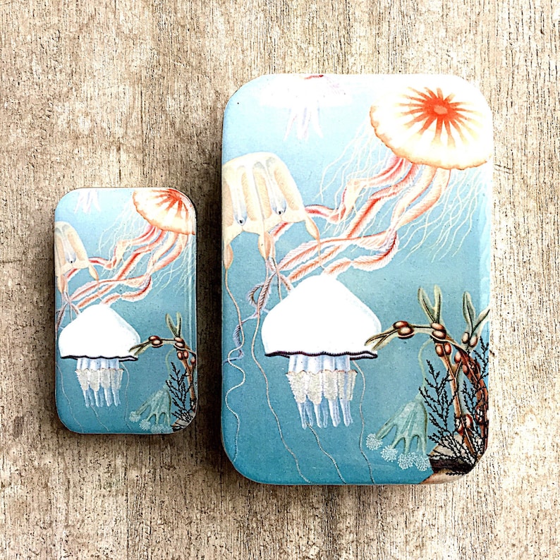 Jelly Fish Tin SMALL Notions Tin Treasure Box Jewellery Box - Etsy