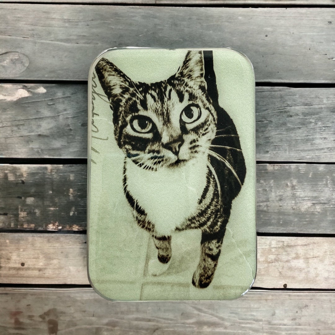Cat Knitting Notions Tin, LARGE Card Case (026) - Etsy